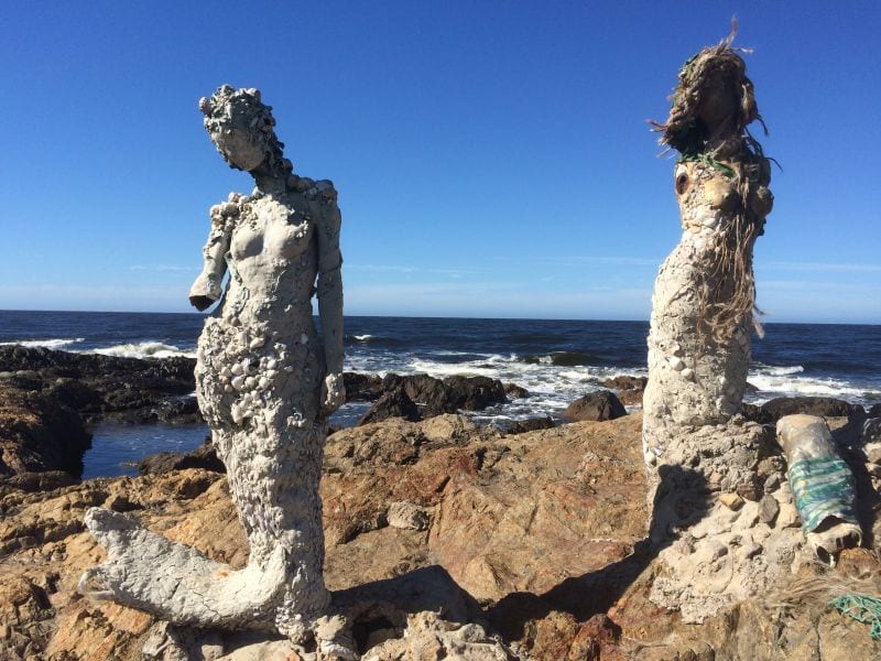 Mermaids | Scott Treks